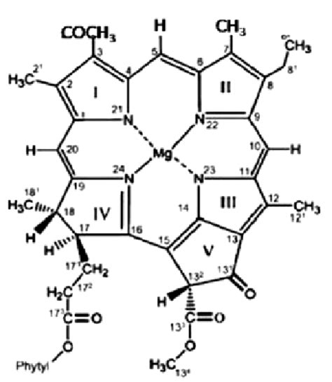 Structure And Iupac Numbering Scheme Of Bacteriochlorophyll A