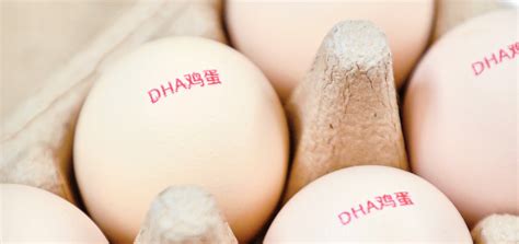 Dha鸡蛋：孕期营养好帮手 Dha鸡蛋 藻源dha鸡蛋 蛋黄金 品牌蛋 鸡蛋品牌运营 鸡蛋品牌化 蛋品质量提升 蛋鸡养殖 蛋鸡饲料添加剂 湖南啄米生物技术有限公司