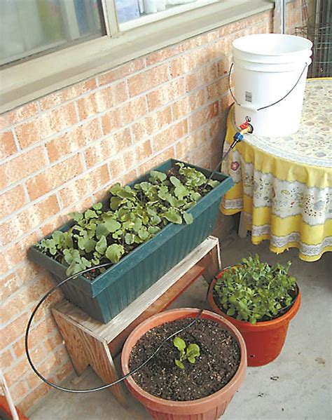 Как да си направим капково напояване Български Фермер