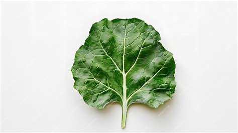 Whole Turnip Leaf With Natural Texture Premium Ai Generated Image