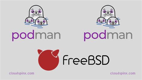 Install Podman And Run Containers In FreeBSD 14 CloudSpinx