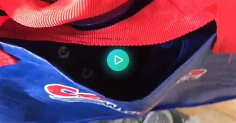 Murder Floof Album On Imgur