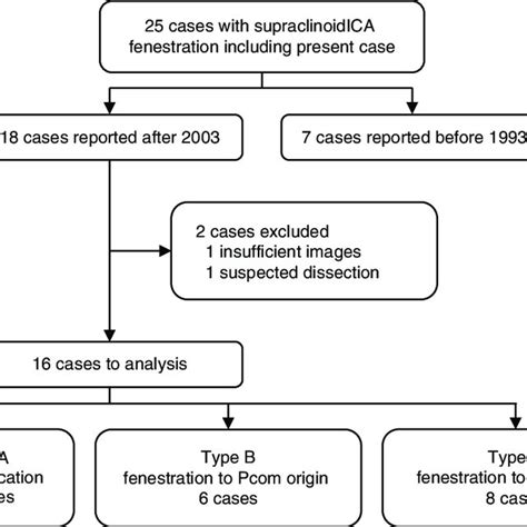 Schematic Chart Illustrating The 24 Cases Of Supraclinoid Ica