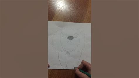 როგორ დავხატოთ ძაღლი მარტივად🥳 🏼 ️ Youtube