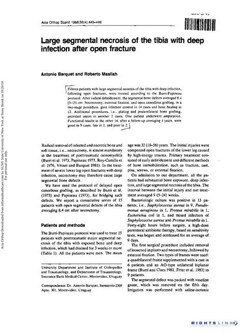 Pdf Large Segmental Necrosis Of The Tibia With Deep Infection After Open Fracture Dokumen Tips