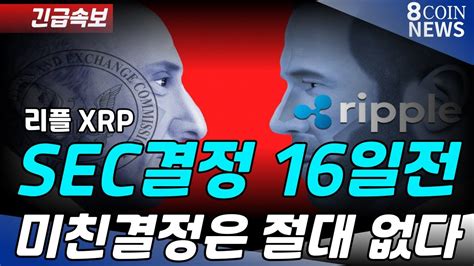 리플 긴급속보 Sec결정 16일전 미친 결정은 절대 없다1 Youtube