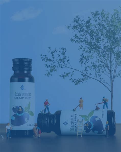 企业简介 黑龙江峰然农业集团