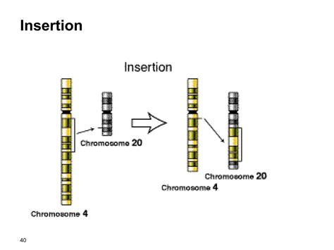 Mutation And Plasmid For Medical Laboratory Ppt