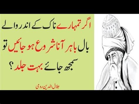 Naak Ke Baal Nazar Ane Lag Jaye Tu Samjh Jaye Mulana Rumi YouTube