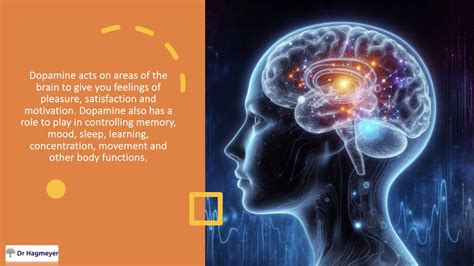 The Link Between Insulin Resistance Depression And Dopamine Levels