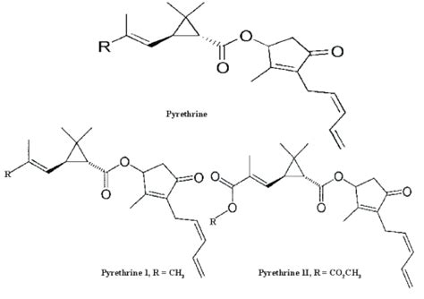Chemical Structure Of Pyrethrine Compounds In Pyrethrin I Rch And