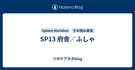 SP13 府舎ふしゃ ツボケアネタblog