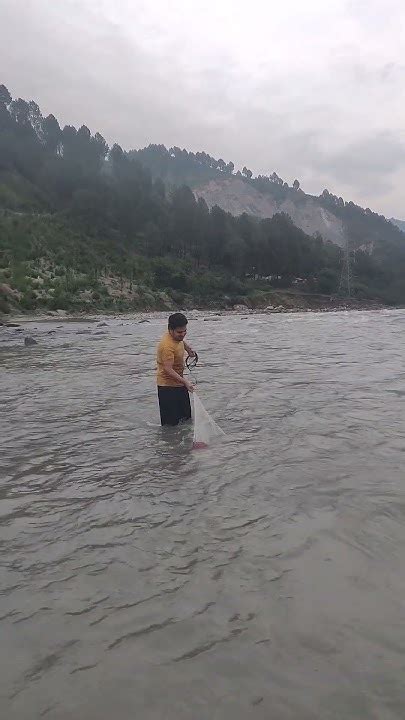 🧱 버려진 댐 안에 갇힌 ‘울음소리 내는 물고기 🐟 Youtube