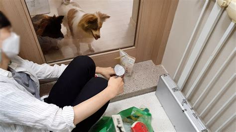 도와주세요 ㅠㅠ 문이 고장나서 집에 못들어가고 있어요 Youtube