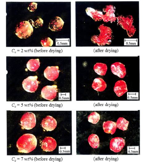 Observation Of Microcapsules Download Scientific Diagram