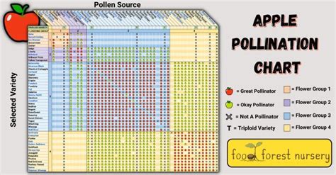 Food Forest Nursery On Linkedin Apple Pollination Chart