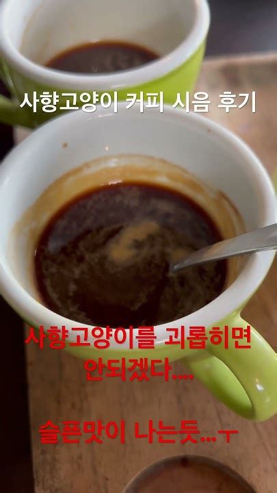 사향커피 시음 후 느낀점 Youtube