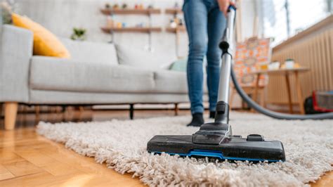What Really Happens When You Vacuum Up Insects Around The House