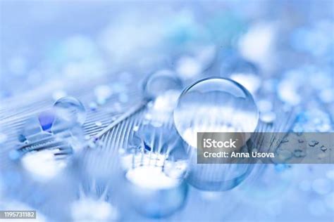 부드러운 배경에 아름다운 투명 물 방울 또는 빗물 매크로 사진 바탕 화면 배경 선택적 초점 물에 대한 스톡 사진 및 기타 이미지 Istock