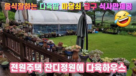 전원주택 잔디마당 다육하우스 다육맘들의 로망 다육맘들 심쿵하게 만드는 전원주택 다육하우스 묵둥이 다육이 창 국민이 전원주택 다육하우스 Youtube