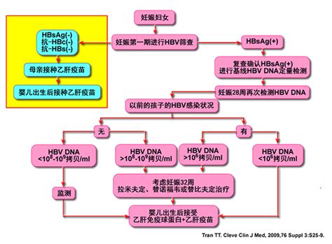 接种乙肝疫苗后多久可以怀孕 春雨医生