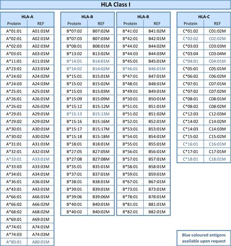 Hla Class I Imusyn Gmbh And Co Kg