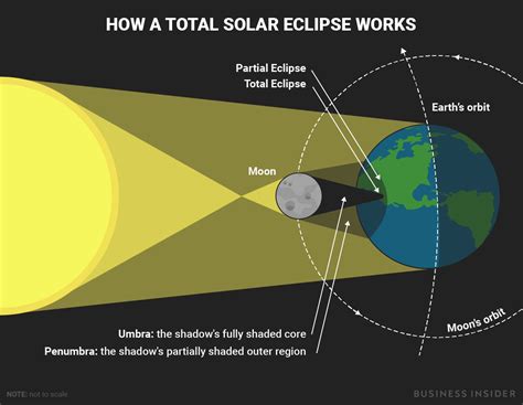 Diagram Of The Sun During A Solar Eclipse Eclipse Sun Eclips