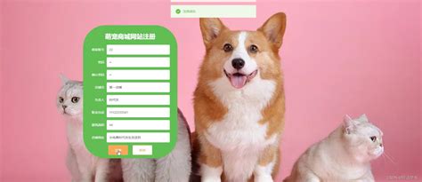 Springboot毕设项目萌宠商城网站6ul9kjavavuemybatismavenmysqlsprnig）萌宠商城项目描述