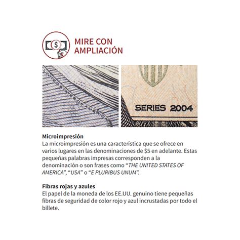 Cómo Saber Si Un Dólar Es Falso La Guía Oficial Con Las 4