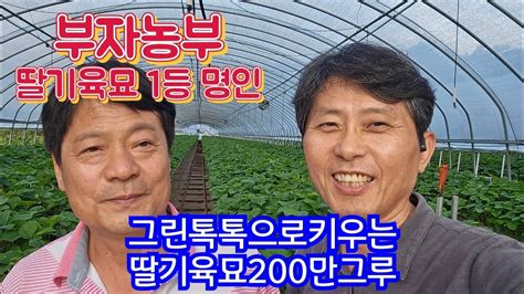 190한국 최대의 딸기육묘장 그린톡톡과의 만남 Youtube