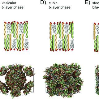 Molecular Dynamics Model Building Procedure A B Molecular Dynamics
