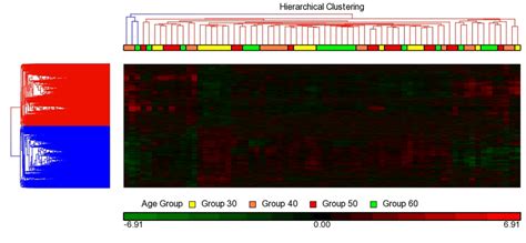 Unsupervised Hierarchical Cluster Analysis Of Gene Expression In Age