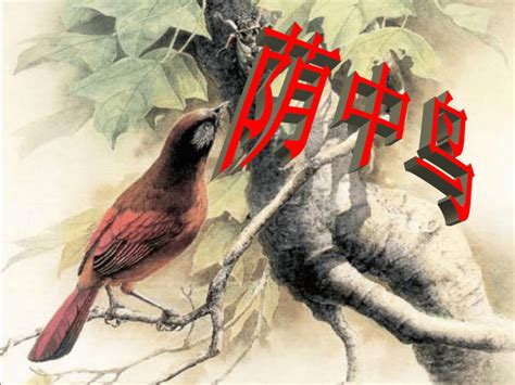 音乐 荫中鸟 课件 课件下载预览 二一课件通