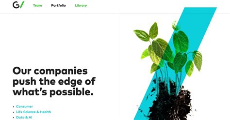 Report Alphabets Gv Uses An Algorithm To Approve Investments Overriding Human Vcs