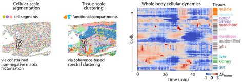 Segmentation And Clustering