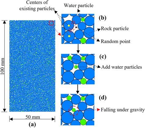 Discrete Element Modeling Of Water Rich Rock Sample A The Water Rich Download Scientific