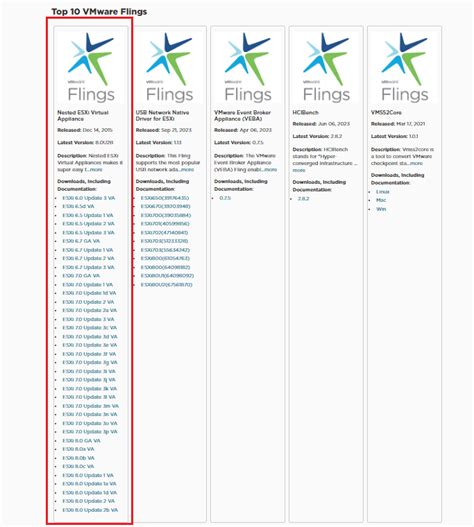 Esxi Nested Virtual Appliance De Vuelta En Vmware Flings Community Ragasys Sistemas