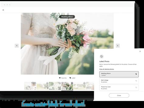 Client Online Photo Proofing ShootProof