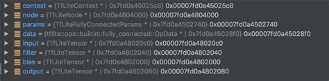Bad Access Error When Deserializing A Fully Connected Tf Lite Model