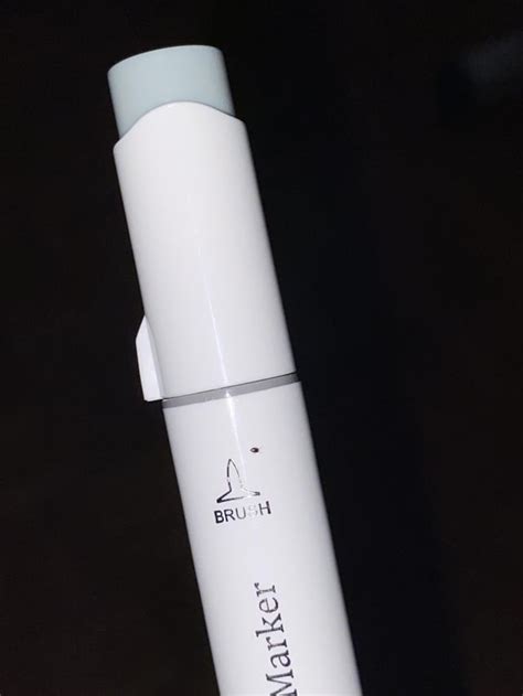 Lint Like Bug That Bites Rwhatsthisbug