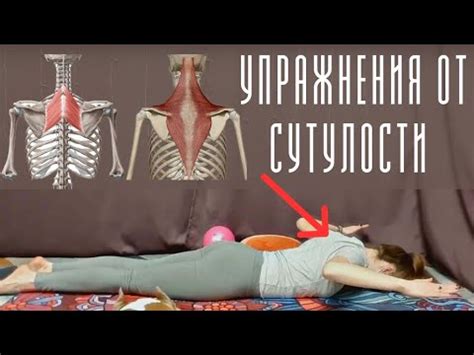 Упражнения от сутулости - YouTube