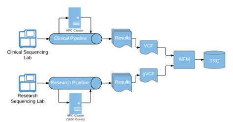 Automated Result Pipeline And Process Fully Automated Genomic Data