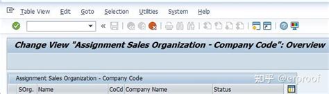 Sap Sd课程 3 4 销售组织