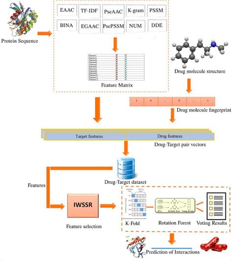 Predicting Drug Target Interactions Using Protein Features And Wrapper
