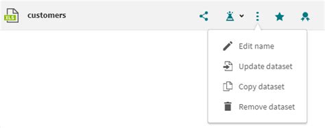 Actions On Datasets Talend Data Preparation User Guide Help