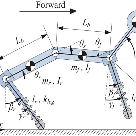 Planar Simplified Model Of The Quadruped Robot With An Active Spine And Download Scientific