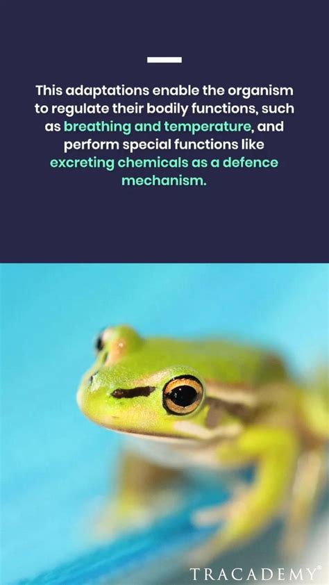 Adaptation Of Organisms And Its Types