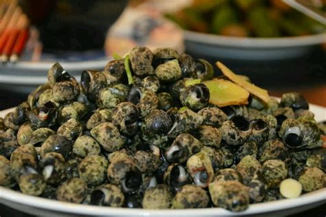螺螄怎么做 螺螄的做法 豆果美食