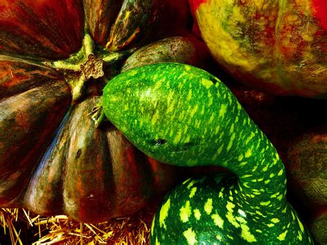 Img 8270 Ed Struble Flickr