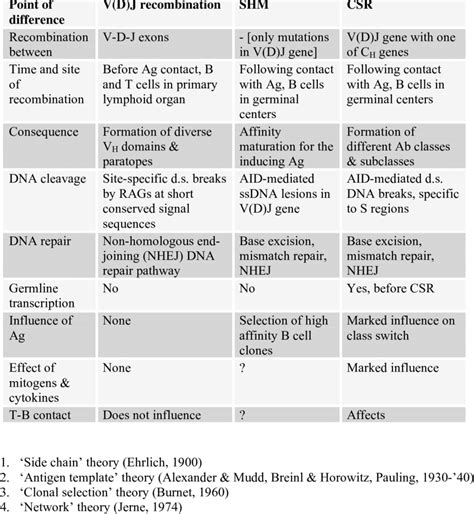 Differences Among Vdj Recombination Somatic Hypermutation Shm And